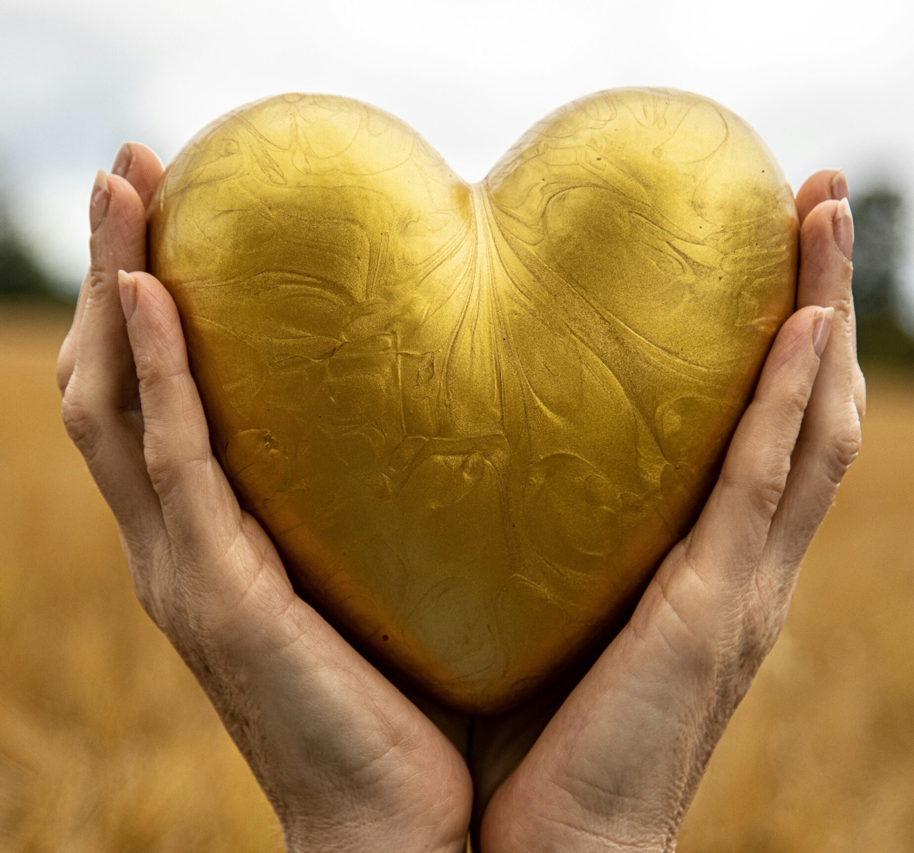 marek-studzinski-bSh0hhWw8Yg-unsplash | Equipe Dr. Paulo Chaccur de ...