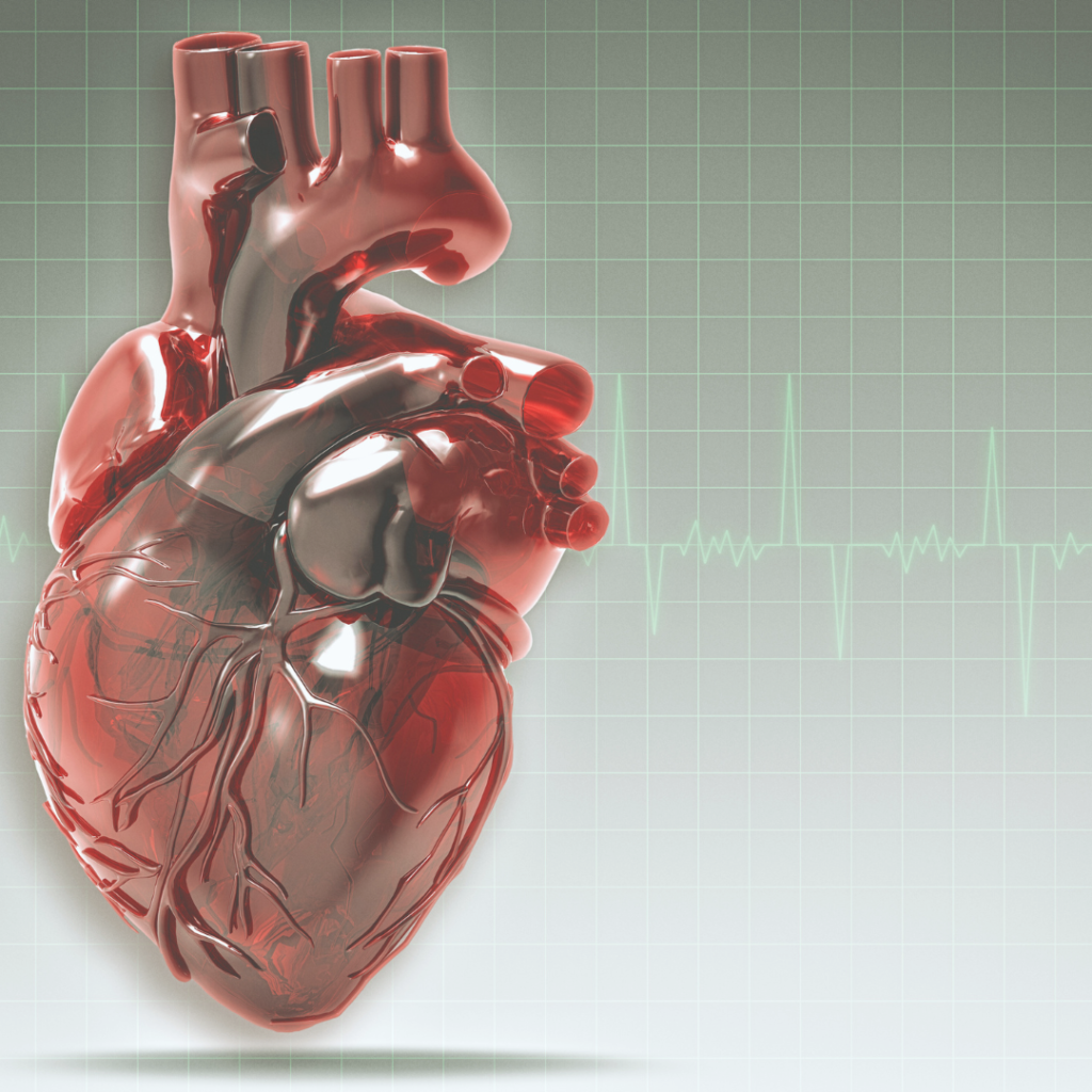 10 termos essenciais da saúde cardiovascular | Equipe Dr. Paulo Chaccur ...